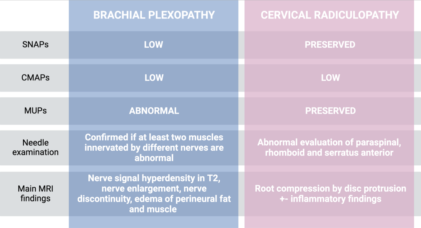 Differentiating Brachial Plexopathy from Radiculopathy: A Problem-Based Learning Discussion